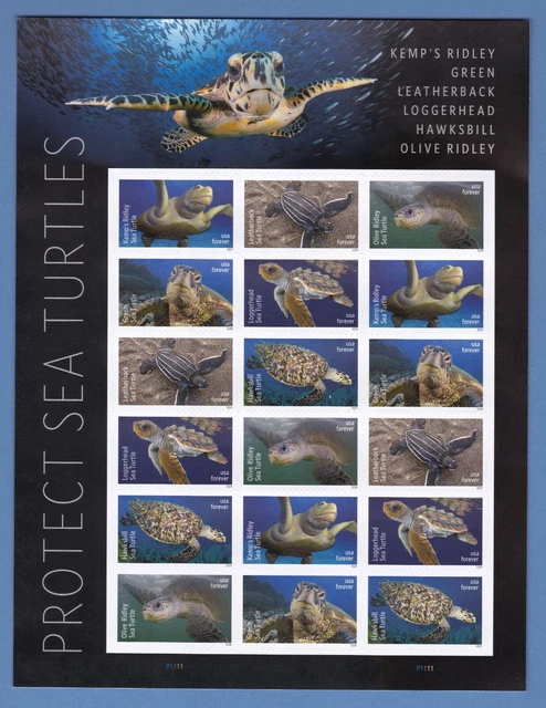 2024 PROTECT SEA Turtle Forever Stamp Loggerhead Hawksbill Green ...