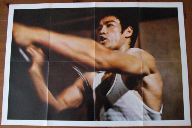 1 POSTER DE Magazine Bruce Lee Kung-Fu Monthly N°13 1975 EUR 12,00 ...