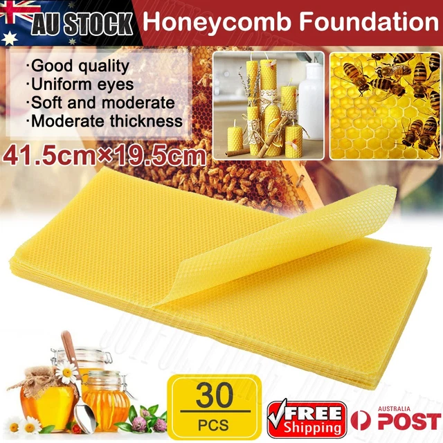 30PC HONEYCOMB BEE Hive Wax Frames Beekeeping Equipment Foundation ...