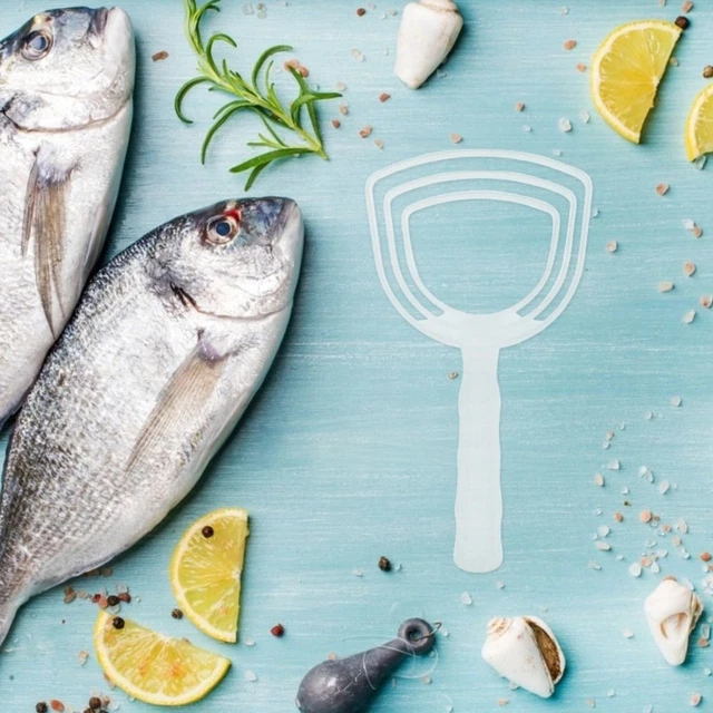 4PCS MANUAL MEAT Scraper Handhold Bone Scraper Fish Scales Resturant £6 ...