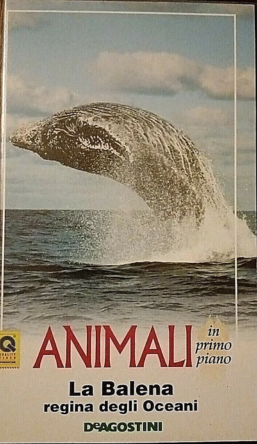 VHS PIERO ANGELA Animali La Balena 1994 EUR 5,00 - PicClick IT