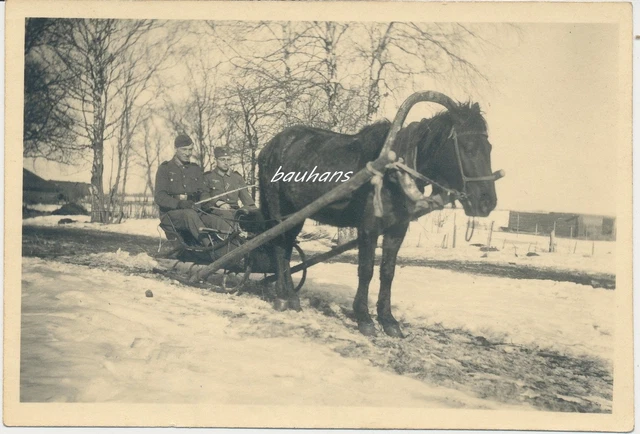 FOTO RUSSLAND-FELDZUG PFERD mit Schlitten-Soldaten 2.WK (g197) EUR 4,50 ...