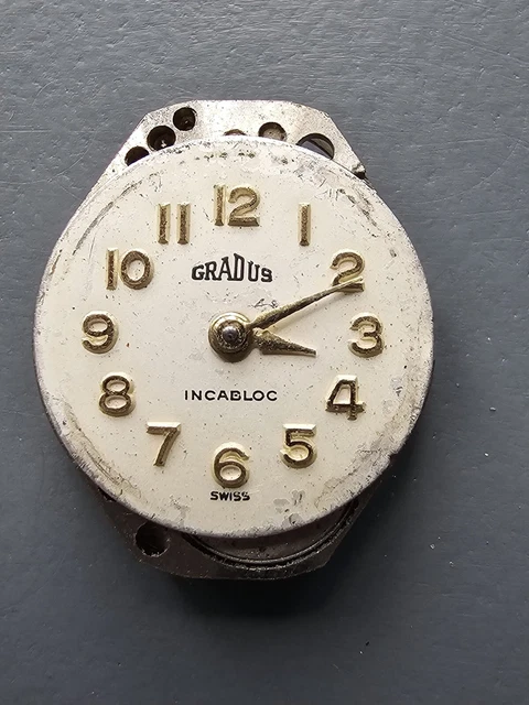 VINTAGE SWISS MADE Gradus 17 Jewels Incabloc Mechanical Watch Movement ...