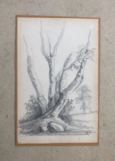 TREE, OLD DRAWING, Graphite, 19th Century £26.26 - PicClick UK