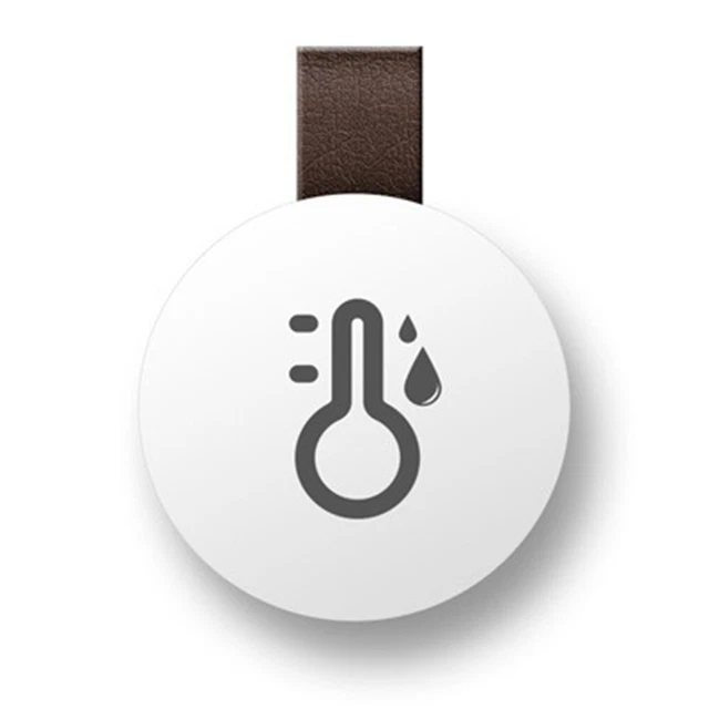 SMART KEYCHAIN THERMOMETER and Hygrometer for Easy Temperature Tracking ...