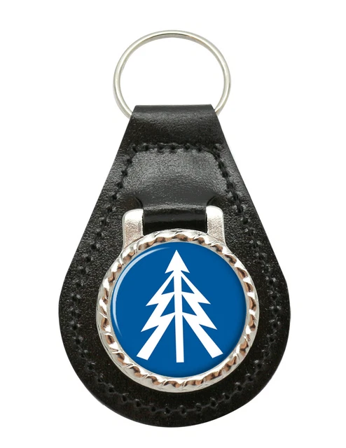 1ST QUEEN'S DRAGOON Guards Flash, British Army Leather Key Fob EUR 25 ...