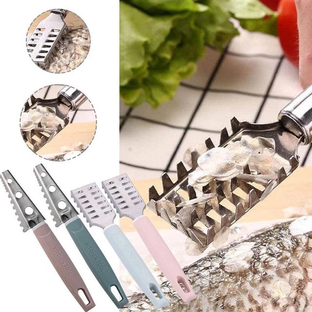 FISH SCALE REMOVER Kitchen Tool Stainless Steel Scalier Descaler Peeler ...