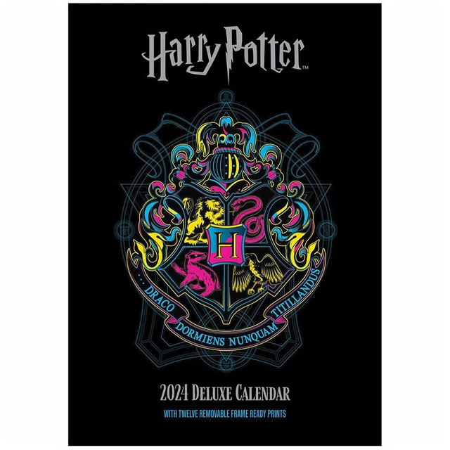 HARRY POTTER DELUXE Calendar 2024 -New Official Merchandise £16.95 ...