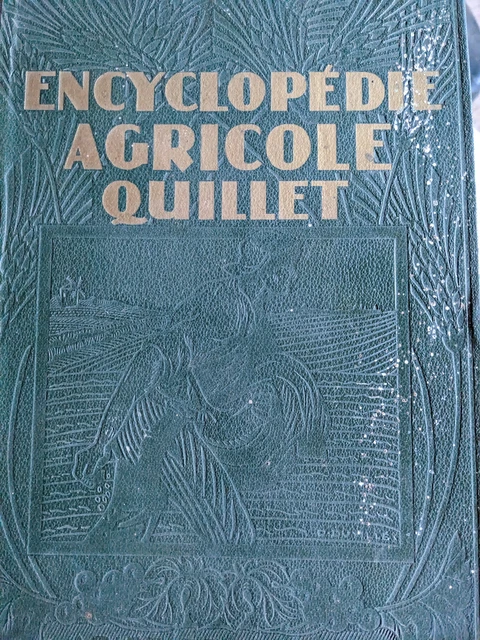 DICTIONNAIRE ENCYCLOPÉDIQUE QUILLET EUR 50,00 - PicClick FR
