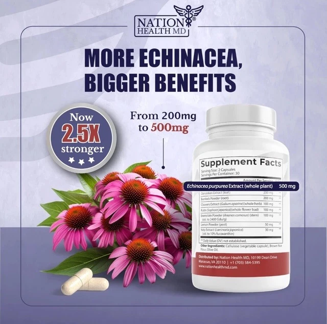 LYMPH MD - Lymphatic System Supplement with 9 Botanicals - Dandelion ...