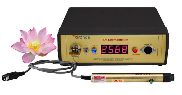 SYSTÈME ET KIT d'élimination capillaire veine d'araignée laser Bio ...