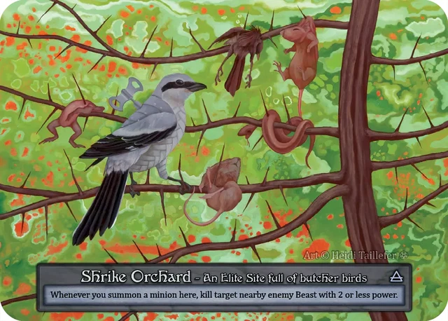 SORCERY CONTESTED REALM - Gothic - Shrike Orchard - Non Foil £5.33 ...