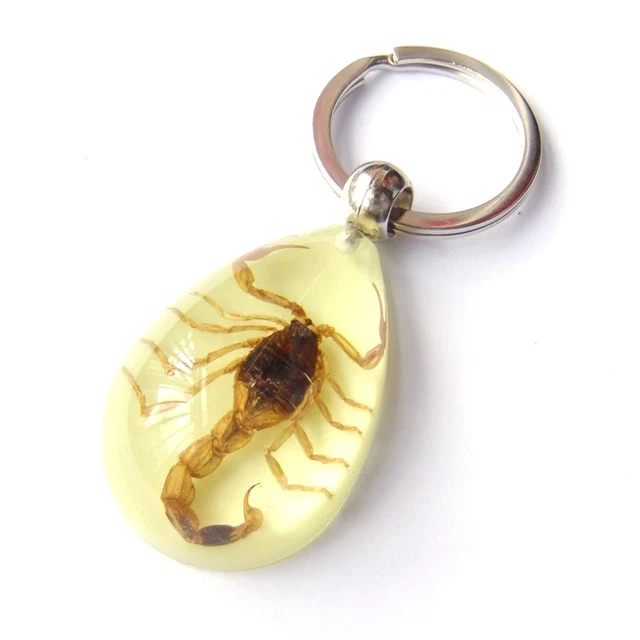 NATURAL SCORPION SPECIMEN Real Insect in Resin Keychain Key Ring ...