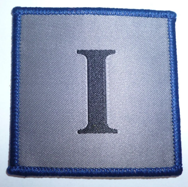BRITISH ARMY RANGER Regiment 2Nd Battalion Tactical Recognition Flash ...