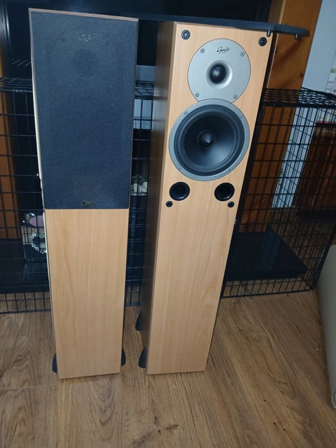 GALE 3030 BI Wirable Floor Standing Speakers £52.71 - PicClick UK