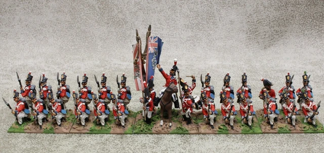 28MM NAPOLEONIC BRITISH 97th Foot INFANTRY x28 + Colonel Painted Elite ...