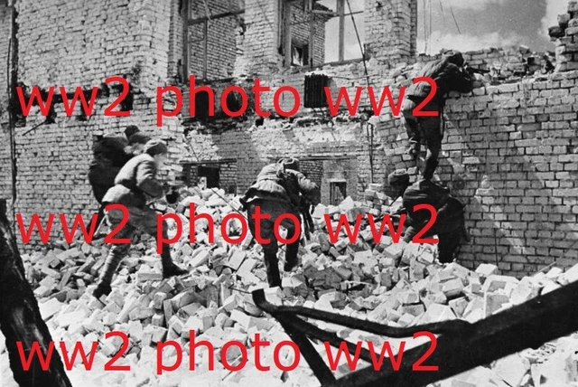 WW2 PHOTO STALINGRAD Russie Staline LVF veste casque T34 Leningrad heer ...