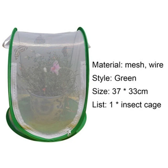 PLANT BREEDING HOUSING Mantis Stick Cage Mesh Insect Butterfly ...