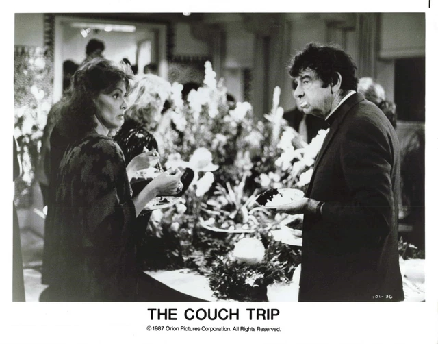 ORIGINAL CINEMA STILL Photo Movie The Couch Trip Mary Gross Walter ...