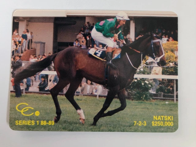 NATSKI RACE HORSE Jockey 1988 Melbourne Cup Winner Racehorse Swap ...