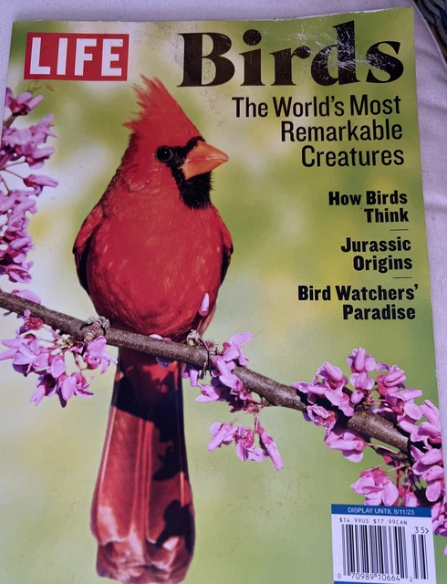 BIRDS THE WORLD'S Most Remarkable Creatures Life Magazine 2023 Cardinal ...