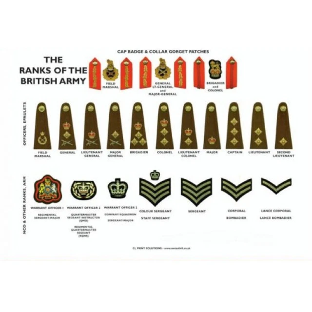 RANKS OF THE Royal Air Force Military Raf Poster A3 Poster Recruits ...
