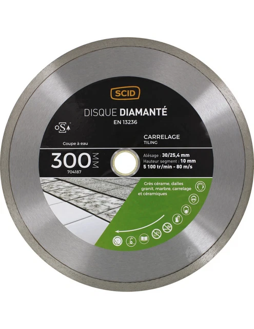 DISQUE CARRELEUR MILIEU De Gamme 300 30/25,4 EUR 151,32 - PicClick FR