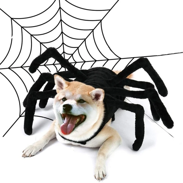 FUNNY CAT SPIDER Outfit Cosplay Costumes Party Dressing Accessories Pet ...