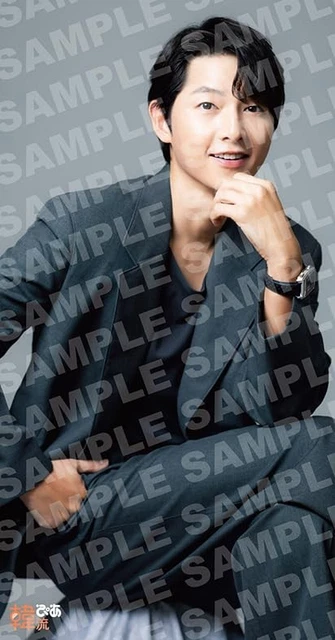 HALLYU PIA GENNAIO 2026 Lee Jong Suk Ha Yu-jun X Lee Seung-hyub Libro ...