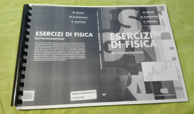 ESERCIZI DI FISICA - Elettromagnetismo, di Bruno - D' Agostino - Santoro • 2004 EUR 9,99 ...