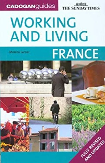 TRAVAILLER ET VIVRE En France Par Monica Larner EUR 6,27 - PicClick FR
