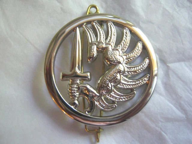 BERET PARACHUTE BADGE FOREIGN LEGION 2nd REP SILVER LUXURY GLOSSY NEW £ ...