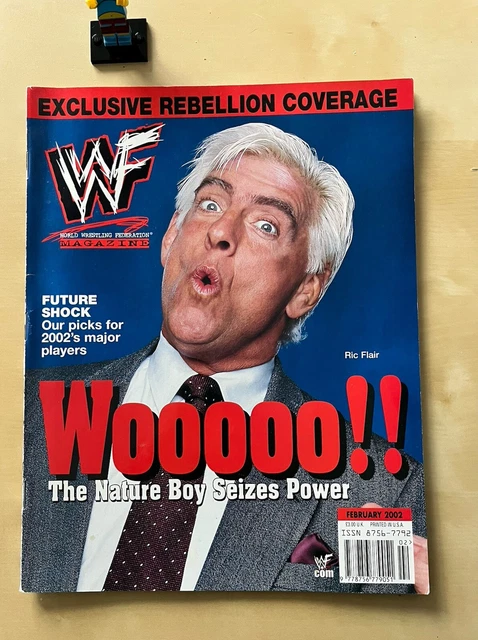 WWF WWE MAGAZINE FEBRUARY 2002 + Trish Stratus Poster £14.23 - PicClick UK