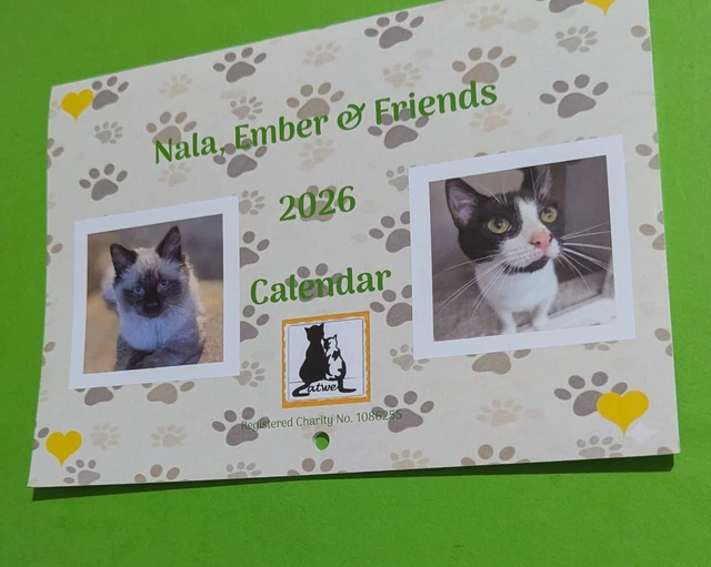 2026 RESCUE CHARITY Calendar Catwel Cardiff Cat Rescue Charity 🐾😻💕 £6. ...