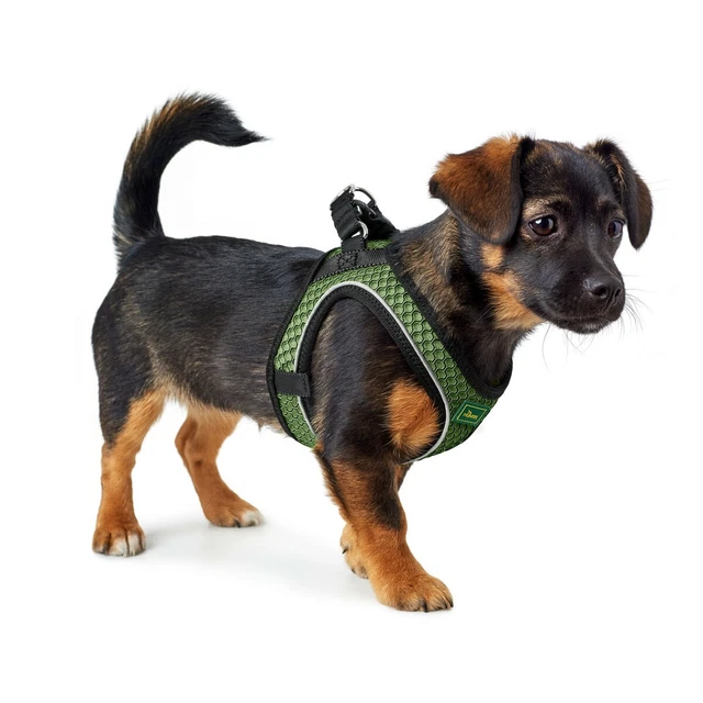 DOG HARNESS HUNTER Comfort Green M 55-60 CM $133.01 - PicClick AU
