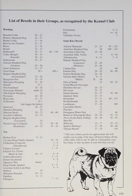 A PASSION PARA Perros: Los Perros Home Battersea Desmond, Boyle, Kati ...