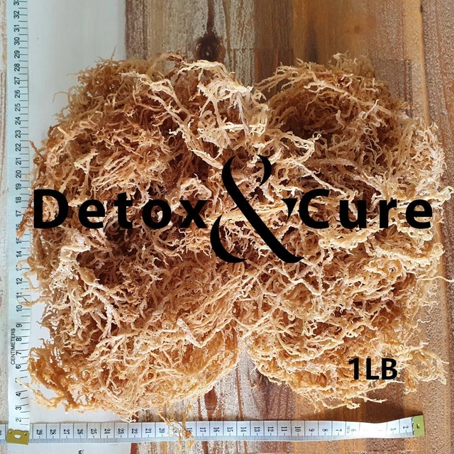 BULK SEA MOSS (Irish Sea Moss) 1lb / 453g Natural Ocean Harvested ...