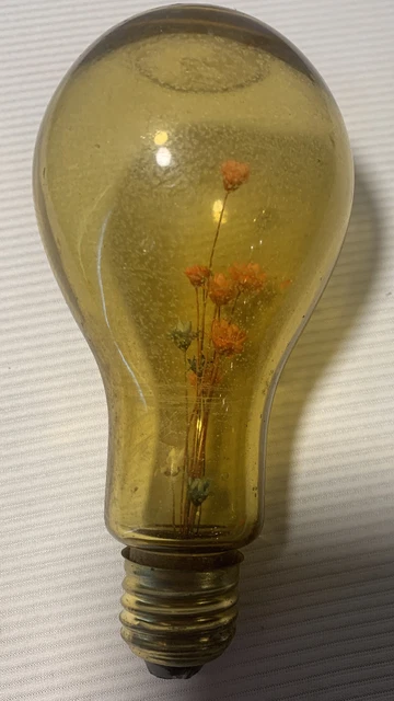 ANCIENNE AMPOULE AMBRE Fleurs À L'intérieur Rare Edison ? EUR 56,11 ...