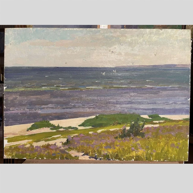 OLD OIL HAND PAINTING /Black Sea Shore in Mykolaiv Region/USSR Realism ...