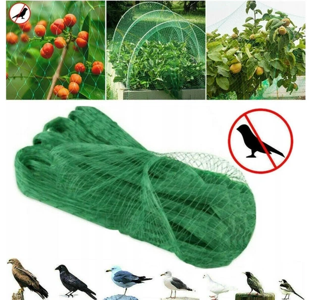FILET ANTI OISEAUX 2X10M Protection Potager Jardin Fruit Protection Verger EUR 5,65 - PicClick FR