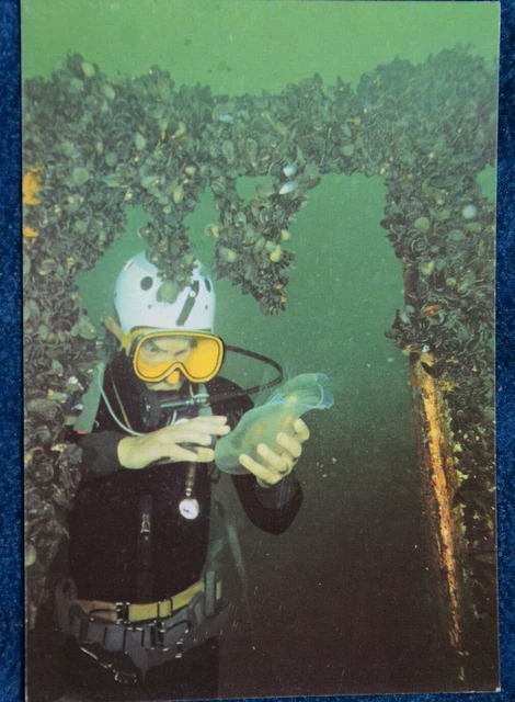 51512 AK DDR Gst Excursion Unter Eau Wettkampfgelände Plongée EUR 6,34 ...