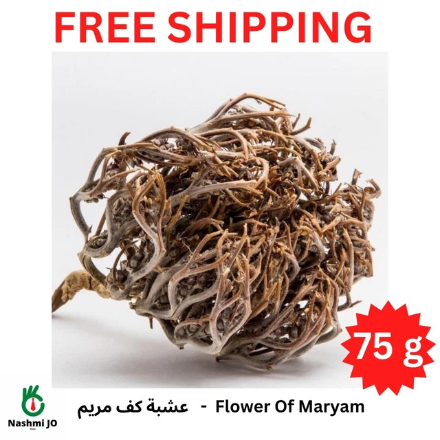 75 GRAMMES X Flower Of Maryam Chaste Tree Herbs Palm Of Mary عشبة كف ...