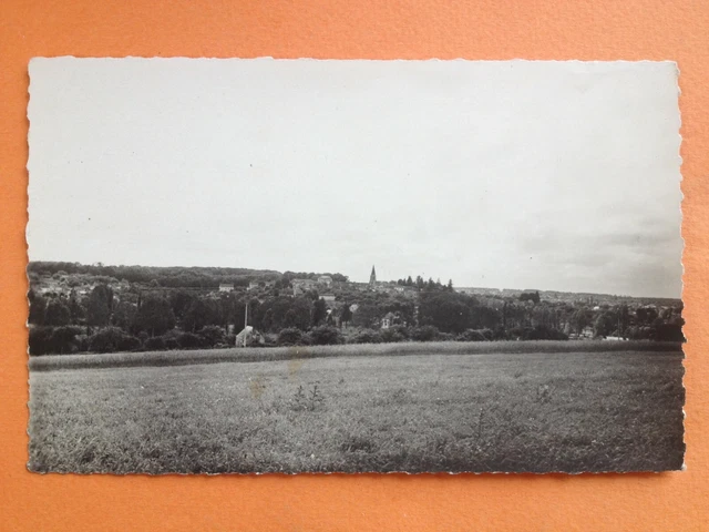 CARTE POSTALE 1940 MIMI PLAGE et ses environs Le GRAND LUCÉ Sarthe PANORAMA EUR 7,90 - PicClick FR