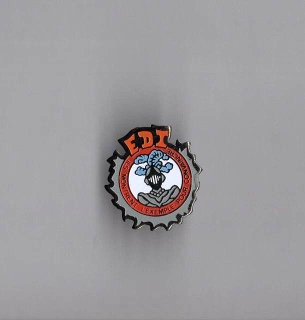 PIN'S ARMÉE CUIRASSIERS / insigne EDI Escadron Défense Instruction EUR ...