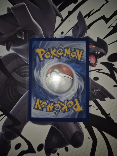 POKEMON PHANTASMAL FLAMES Gold Mega Charizard X EX 130/094 Pack Fresh ...