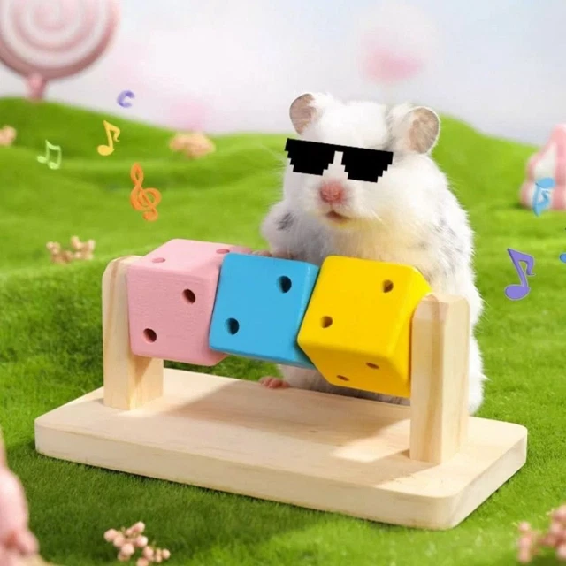 WOODEN HAMSTER ROLLER Rubik's Cube-shaped Hamsters Training Toys for ...