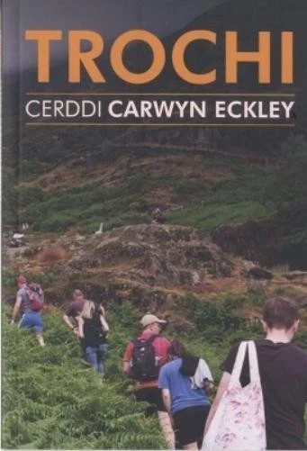 CARWYN ECKLEY TROCHI - Cerddi Carwyn Eckley (Poche) EUR 15,63 - PicClick FR