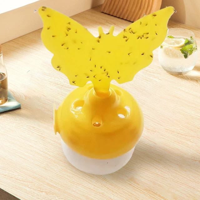 FRUIT FLIES CATCHER Safe Non-Toxic Effective Fly Killer for Kitchen ...