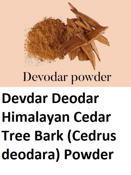 DEVDAR DEODAR HIMALAYAN Cedar Tree Bark (Cedrus deodara) Powder 100% ...