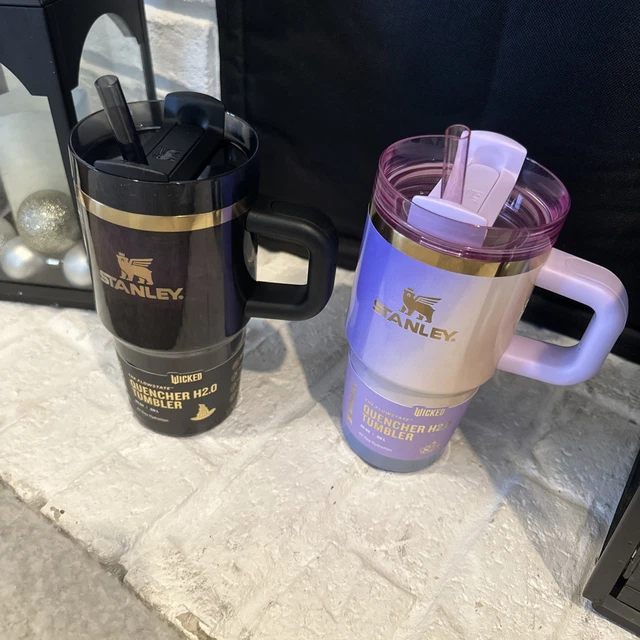 STANLEY X WICKED Glinda & Elphaba 20oz FlowState Quencher Tumblers ...